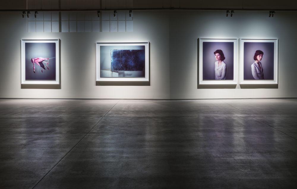 The Power of Collections: Learning From San Francisco’s Pier 24 ...