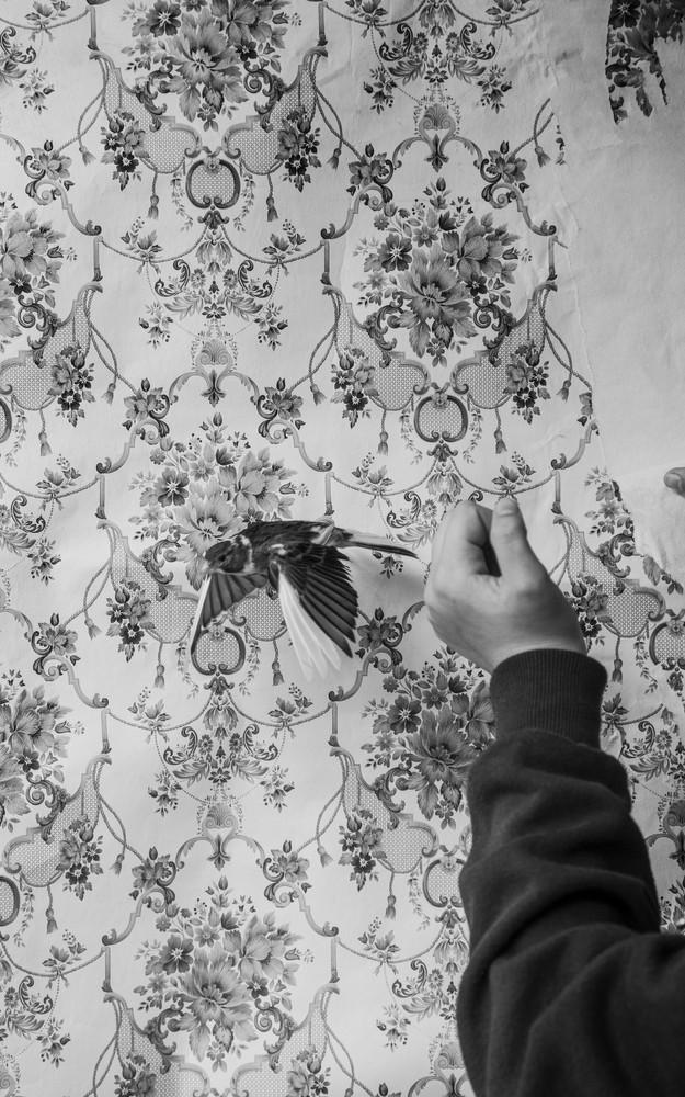 New Moons - LensCulture