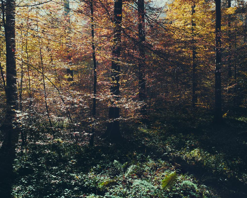 Davide Monteleone - The April Theses | LensCulture