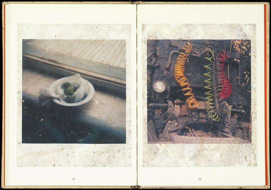 Stephen Gill - Buried | LensCulture