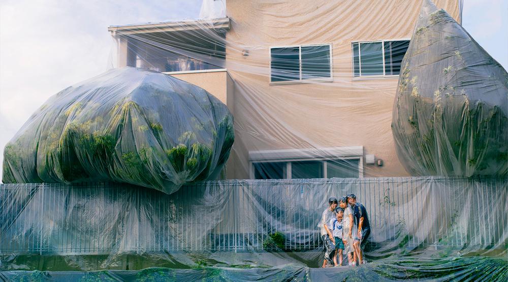 Flesh Love All - Photographs by Photographer Hal | Essay by Joanna L ...