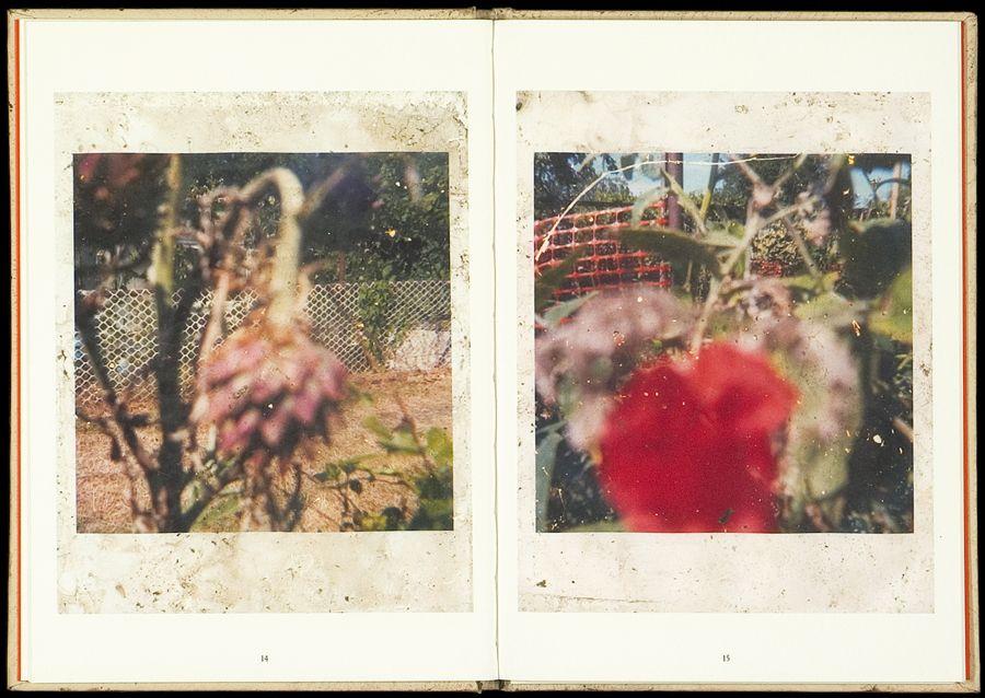 Stephen Gill - Buried | LensCulture