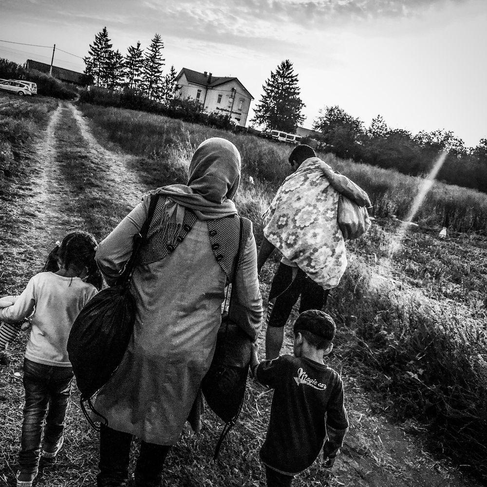 Cutting Through the Noise: Storytelling in the Digital Age - Interview ...