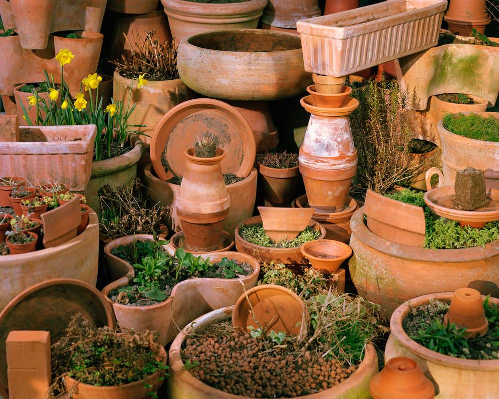 LensCulture - Contemporary Photography