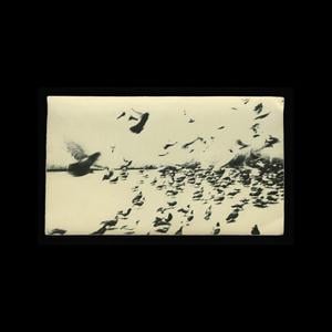 Anna's Collection - Anna Dada | LensCulture