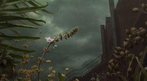 Daniel Shipp | LensCulture