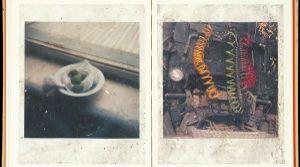 Stephen Gill - Outside In | LensCulture