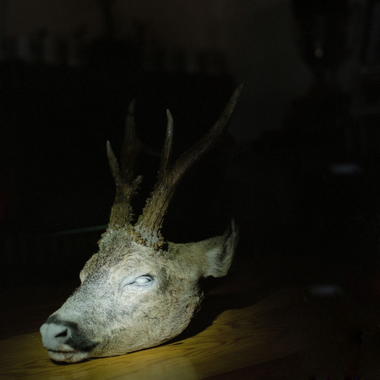 Children of the Deer: Life and Legend in “Spanish Siberia ...