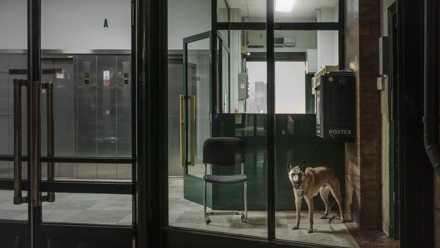 In Search of the Poets and New Masters of Street Photography ...