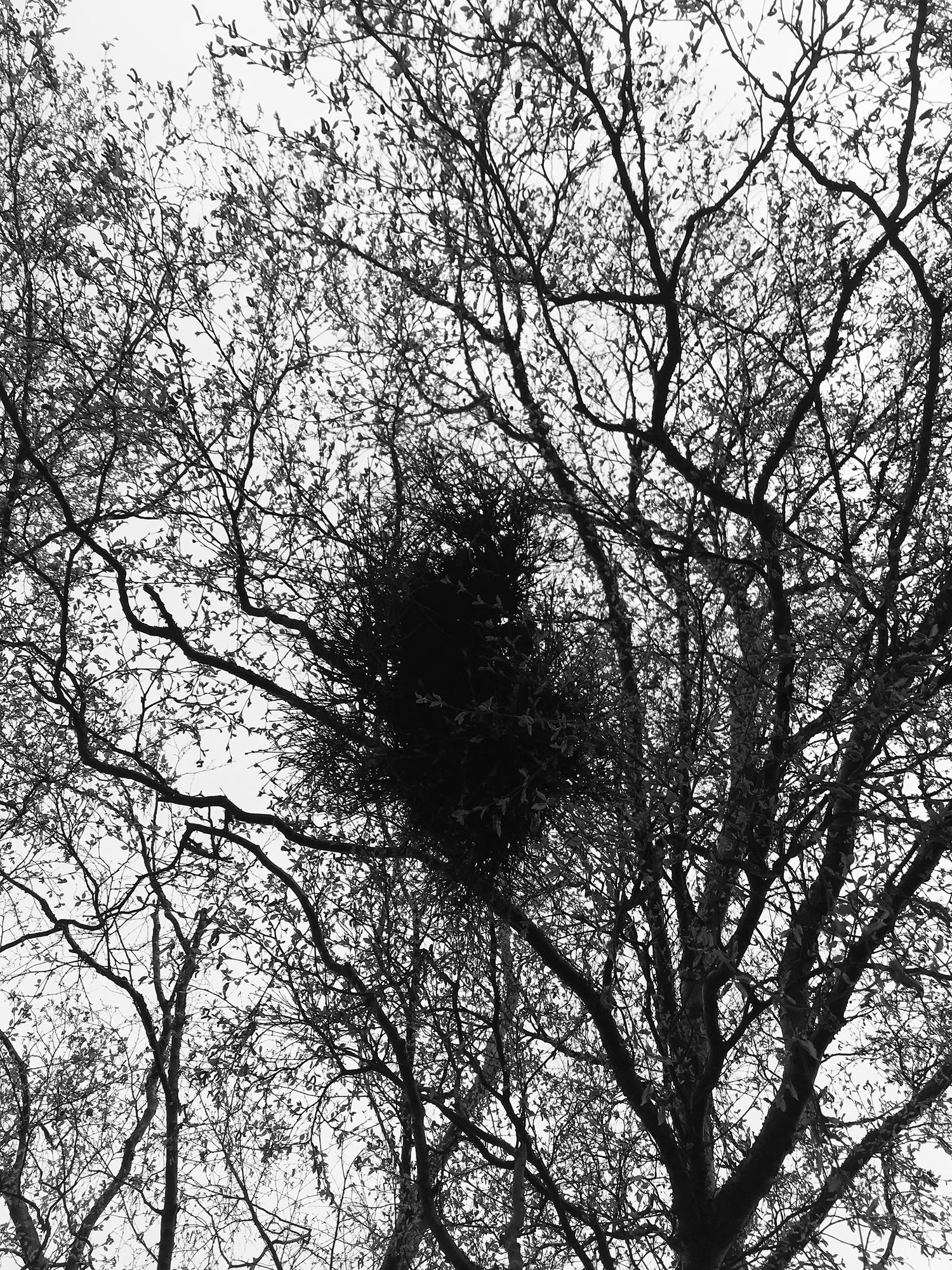 Breathers, After Alzheimers - Photographs by Jon Feinstein | Text by ...