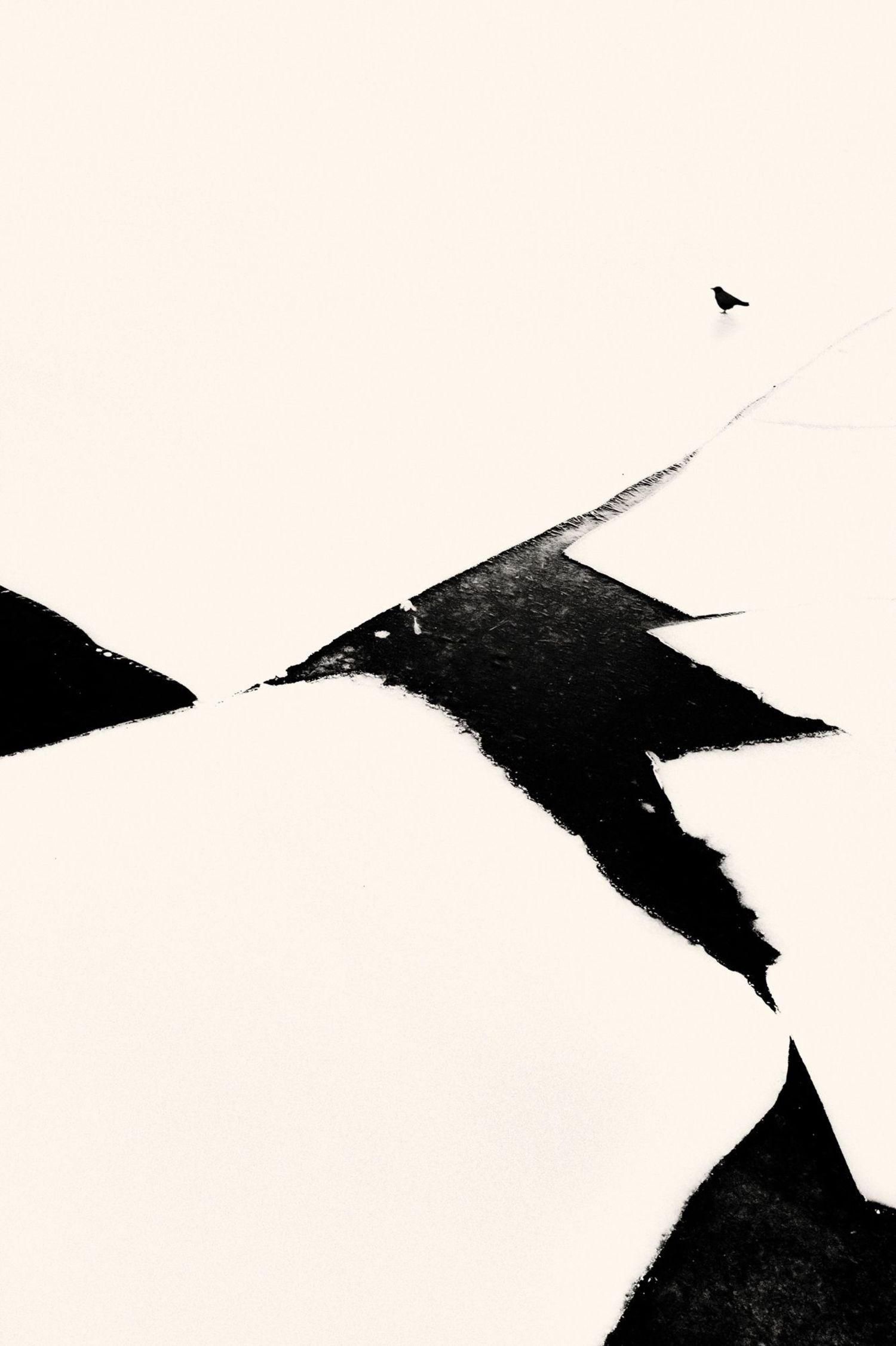 Revelatio: The Unveiling of Fundamental Forms - Photographs and text by ...