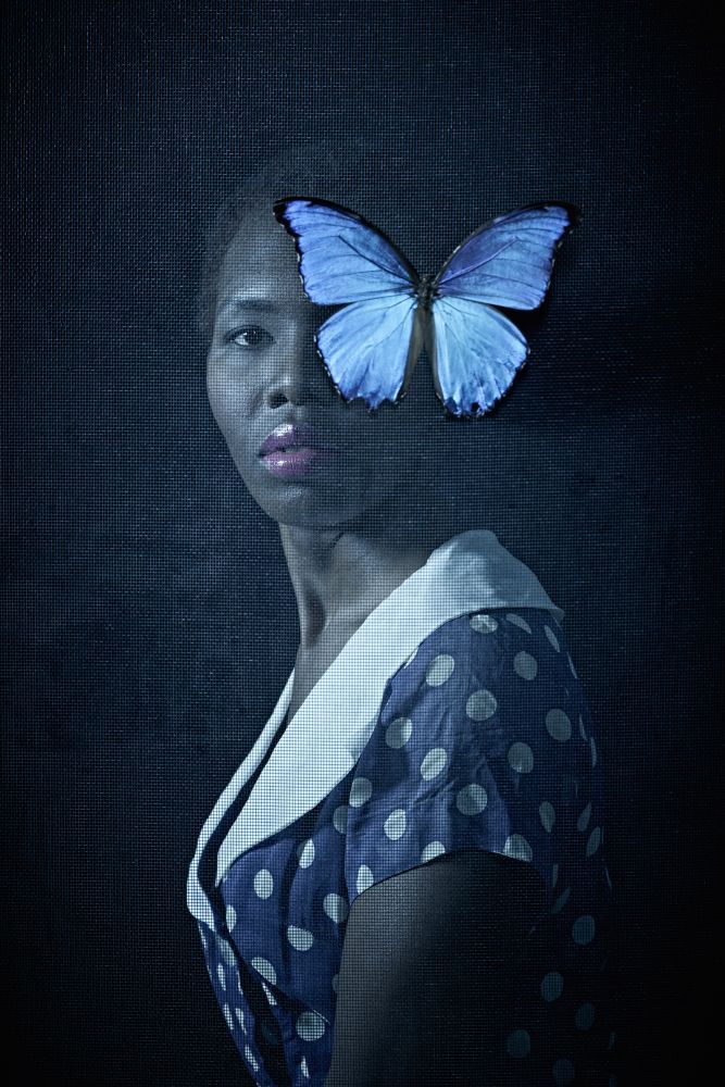 Embracing Vulnerability in Storytelling - Maxine Helfman interviewed by ...