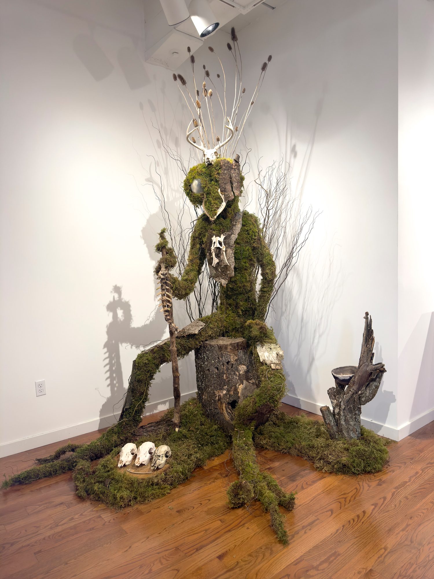 Sanctuary and Abjuration: Sentinels of the Ghostwood - Photographs by ...