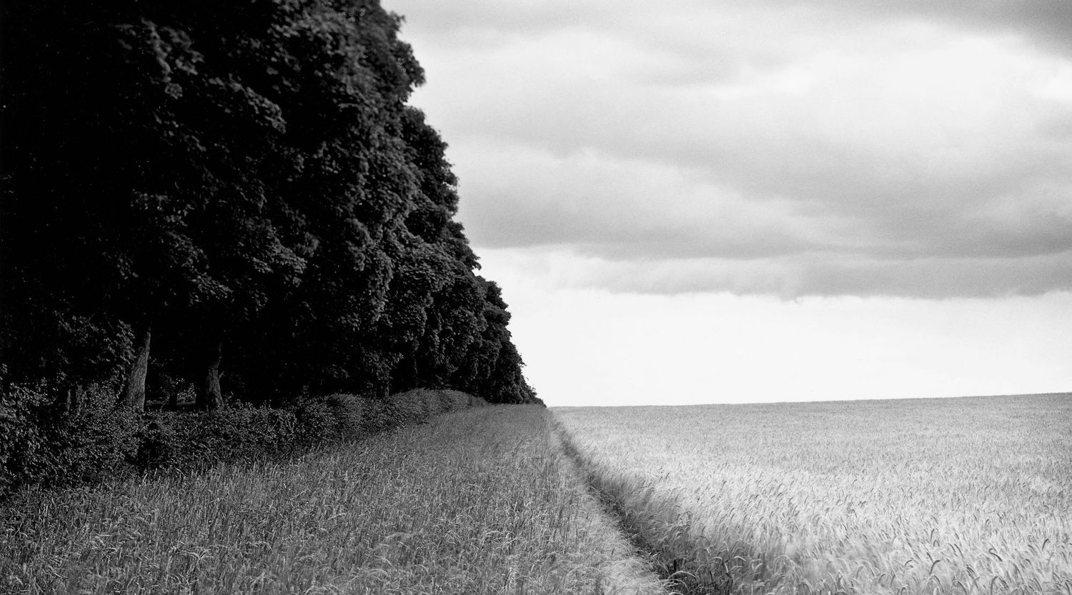 Poetry of Place: Rooted in the English Landscape - Photographs by Paul ...