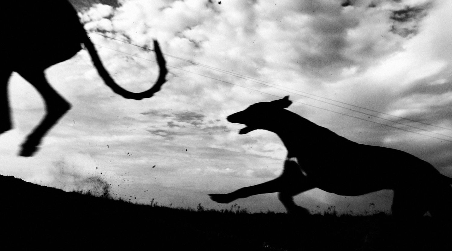 Hunting Shadows - Photographs and text by Antonio Gonzalez Caro ...