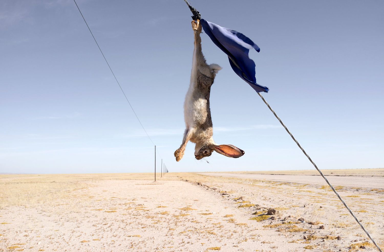Cry Sadness into the Coming Rain - Photographs by Margaret Courtney ...
