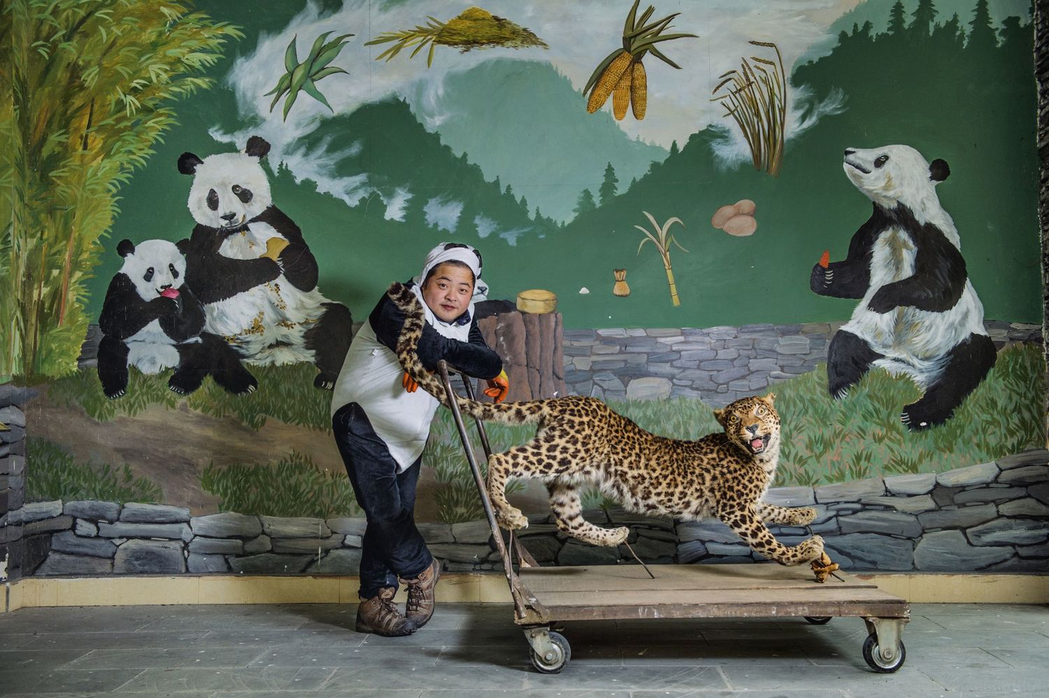 Behind the Scenes with Sarah Leen, National Geographic’s Director of ...