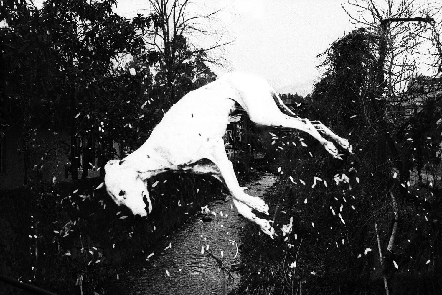 Broken Sea - Photographs by Irina Sadchikova and Nata Sopromadze ...