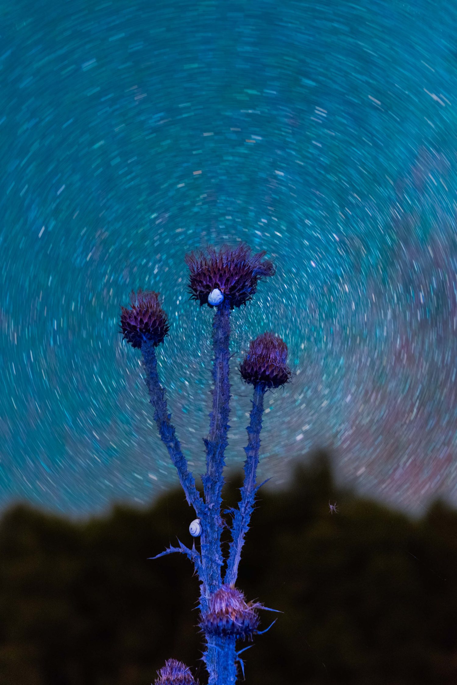 Metamorphosis - Photographs by Claudia Fuggetti | Interview by Sophie Wright | LensCulture