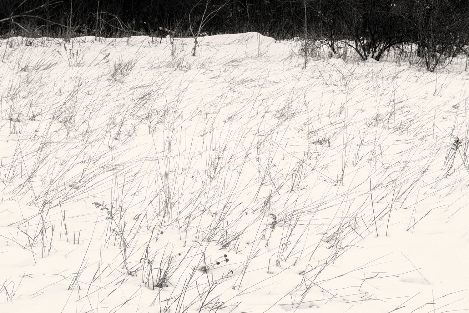 Revelatio: The Unveiling of Fundamental Forms - Photographs and text by ...