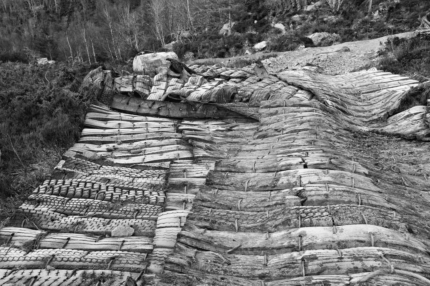 Stuart Franklin on Impulses (Documentary and Otherwise) - Photographs ...