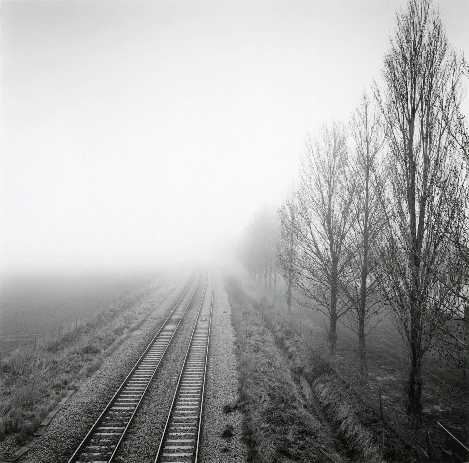 Poetry of Place: Rooted in the English Landscape - Photographs by Paul ...