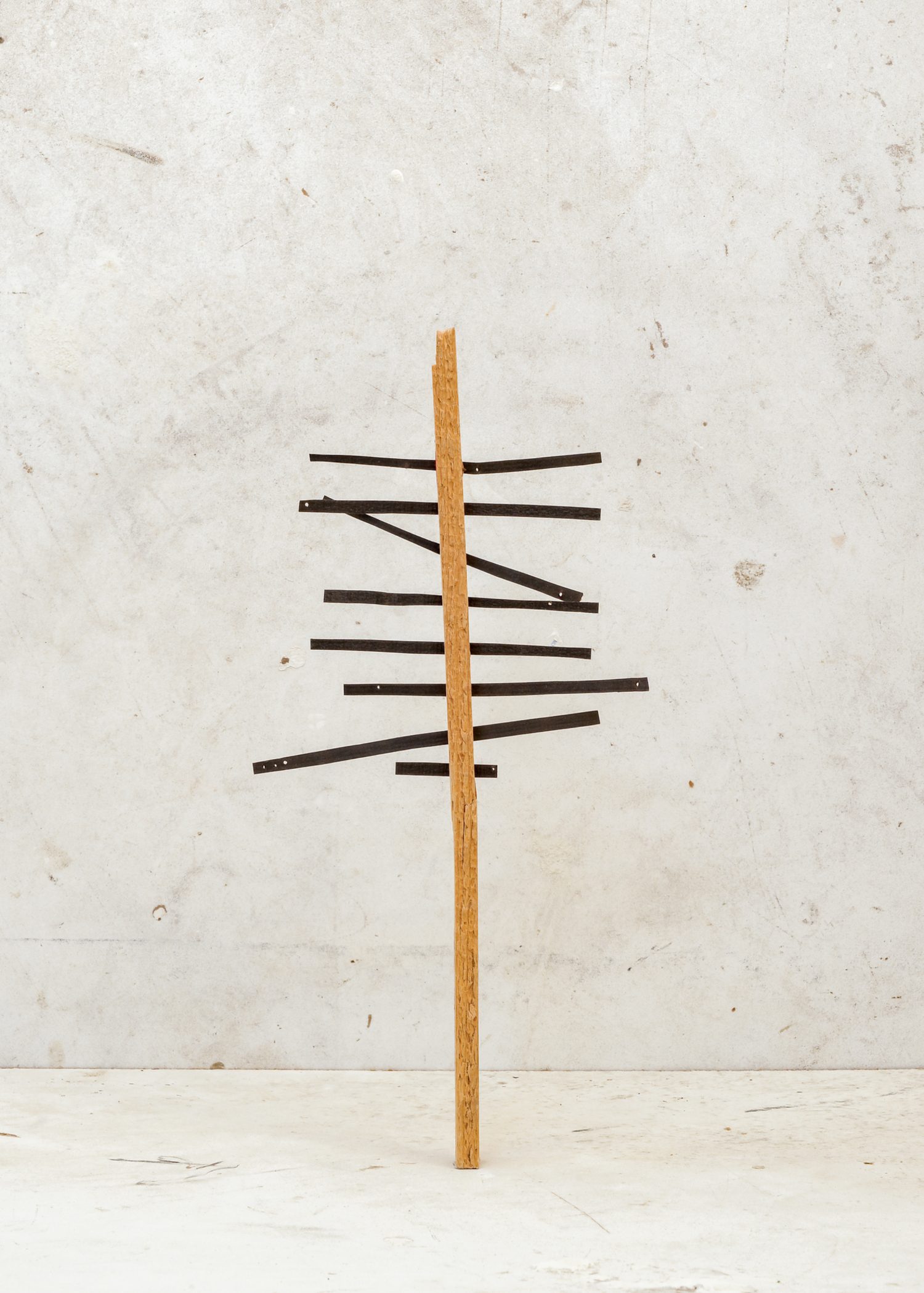 Embodiment : Salvaging a Self - Photographs by Sue Palmer Stone | Essay ...