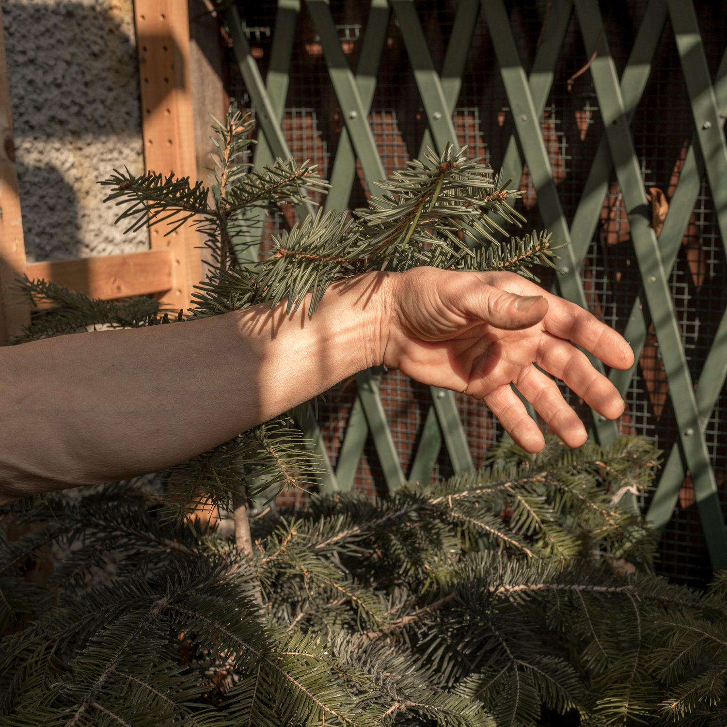 The Silent Clapping of Their Hands - Photographs by Davide Bertuccio ...