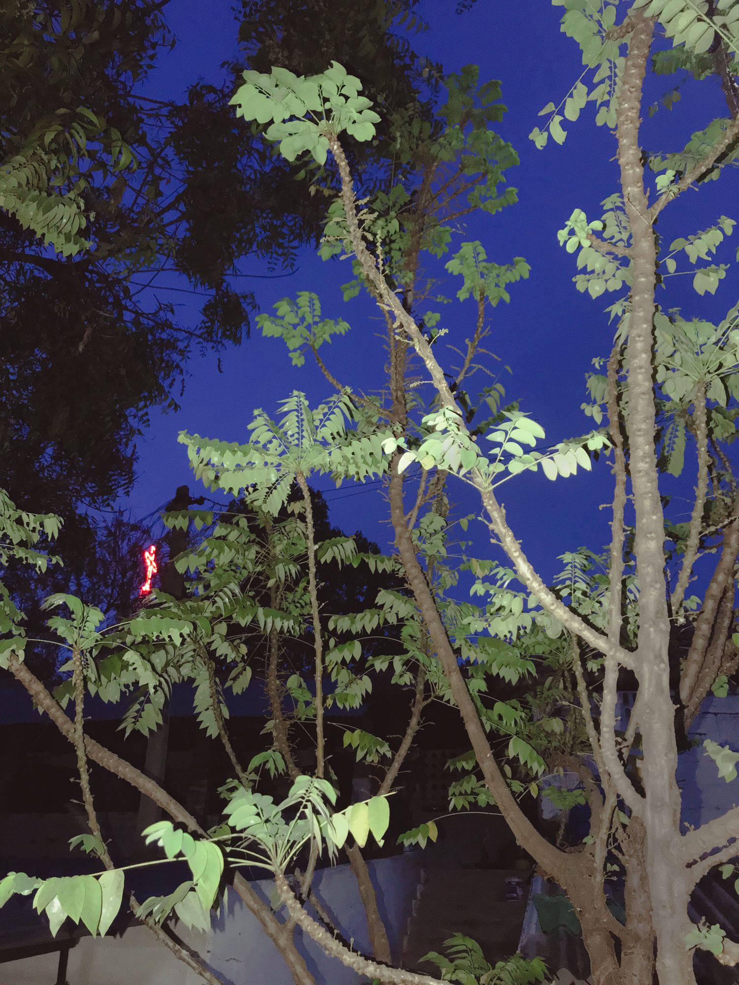 I Feel Like a Fish - Photographs by Jaisingh Nageswaran | Essay by ...