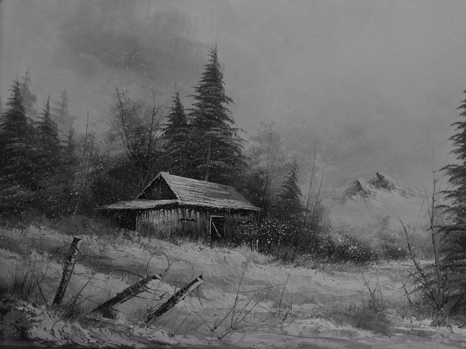 The Disappearance of Joseph Plummer - Photographs by Amani Willett ...