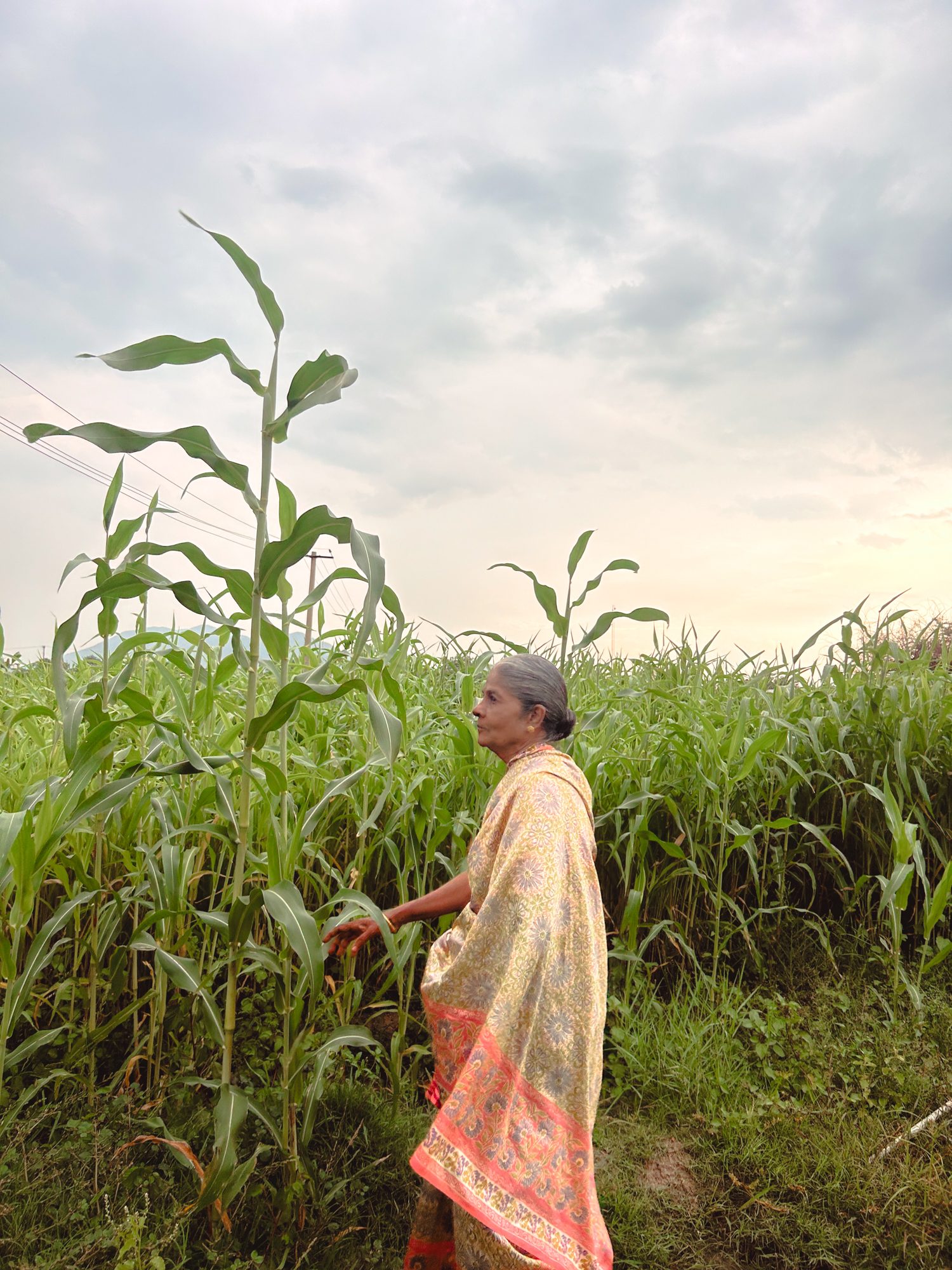 I Feel Like a Fish - Photographs by Jaisingh Nageswaran | Essay by ...