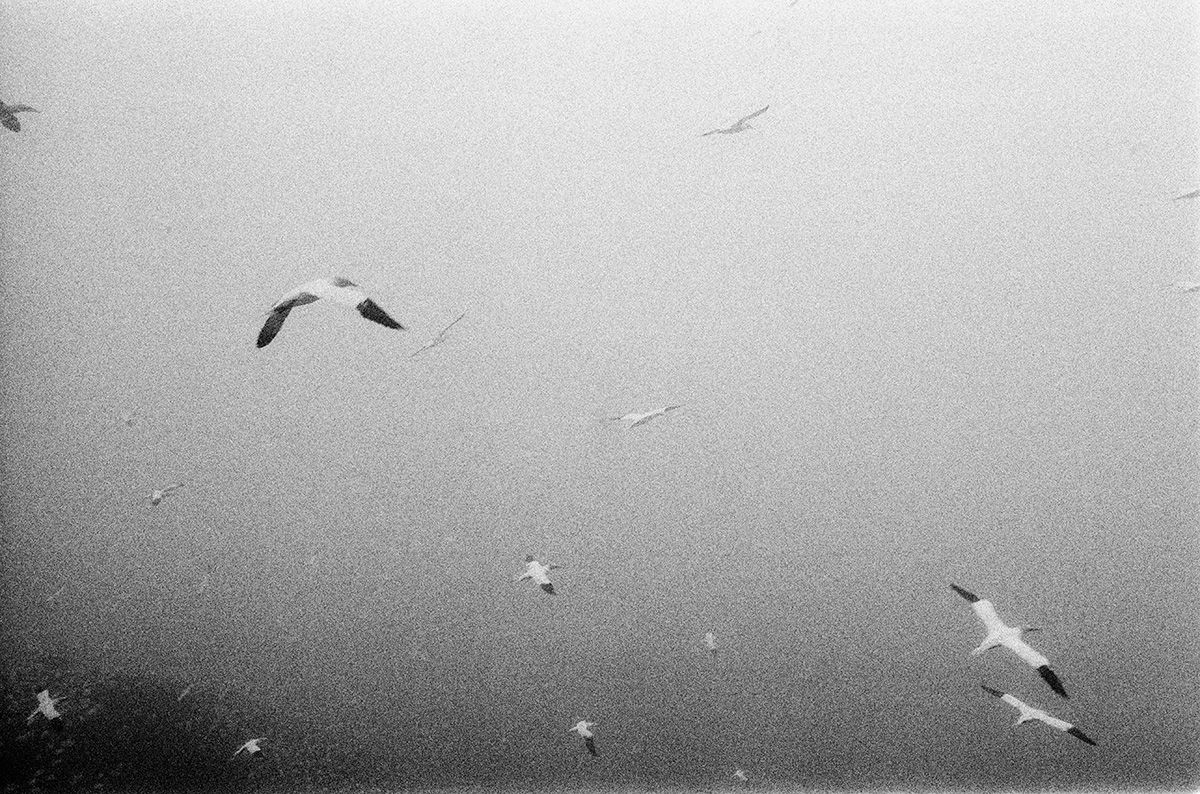 As it Seemed - Photographs by Jonathan Levitt | Book review by W. Scott ...