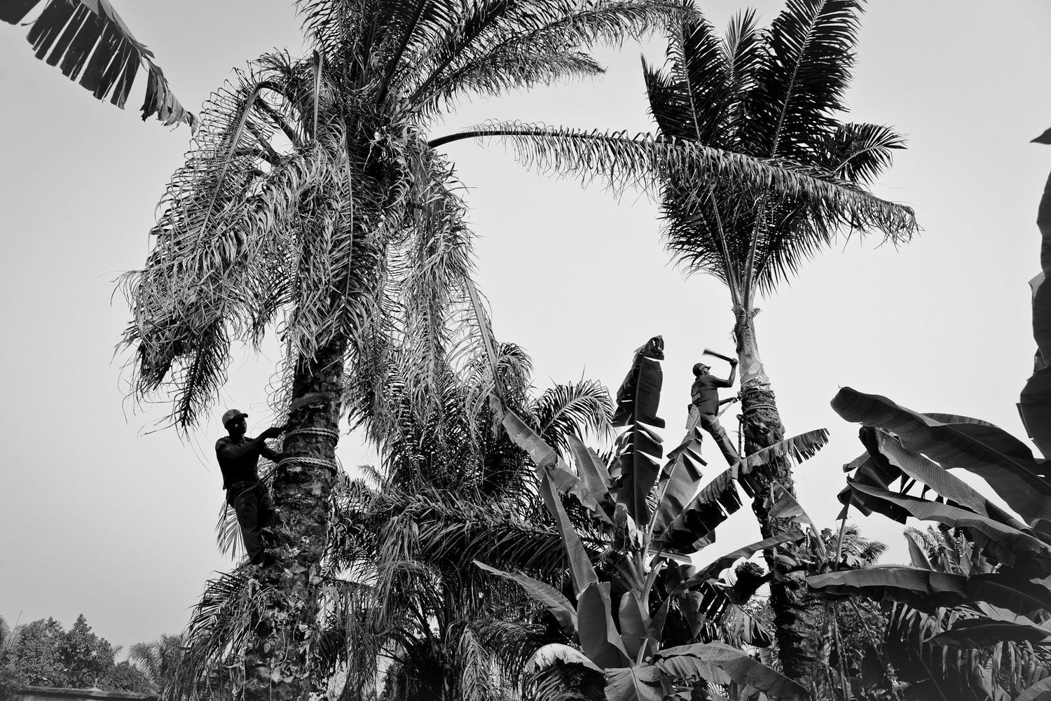 Life and Labor in Nigeria - Photographs and text by Cletus Nelson ...