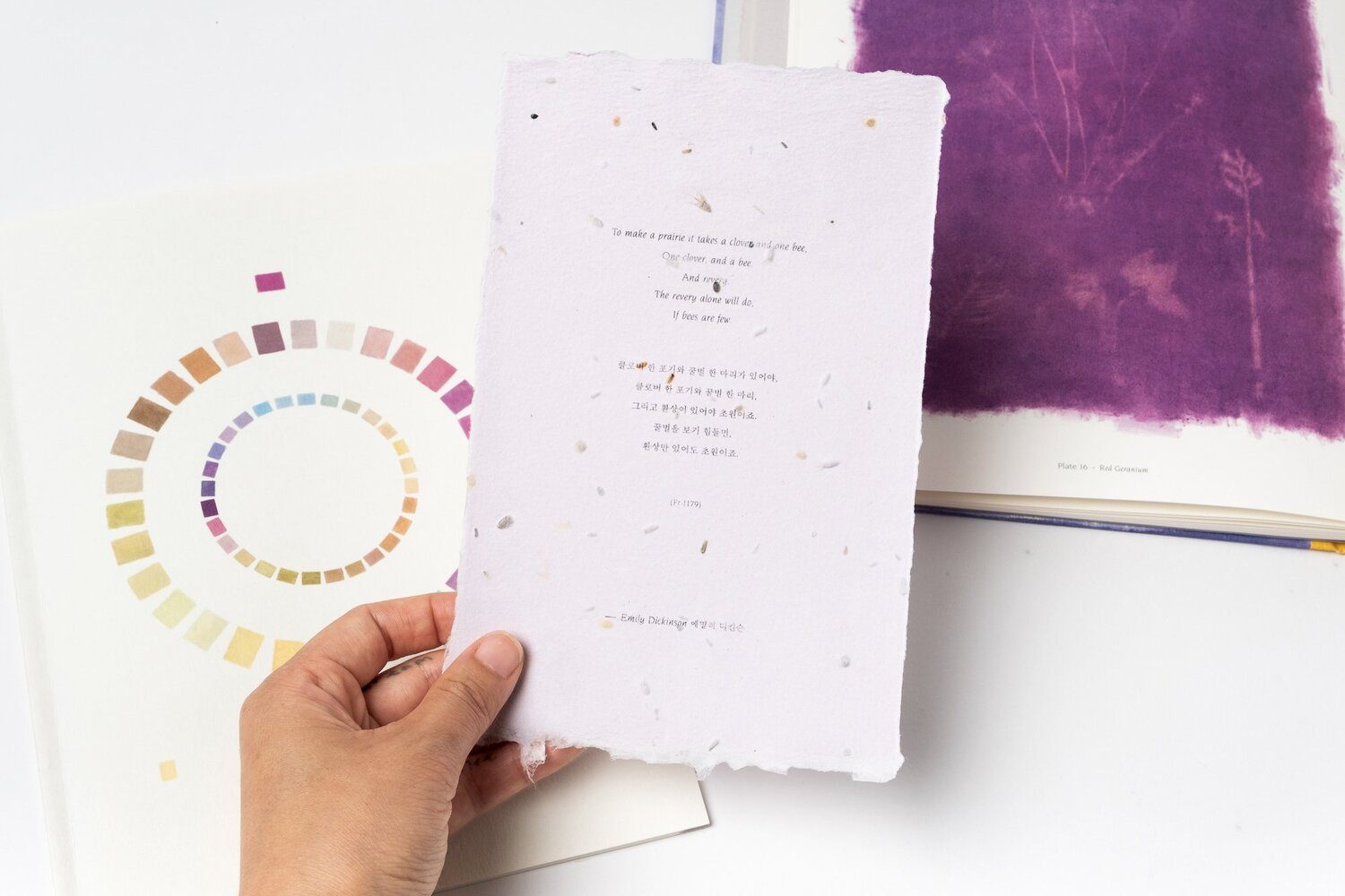 This Earthen Door — Sublime Anthotypes, Preserved Plants & Poetry ...