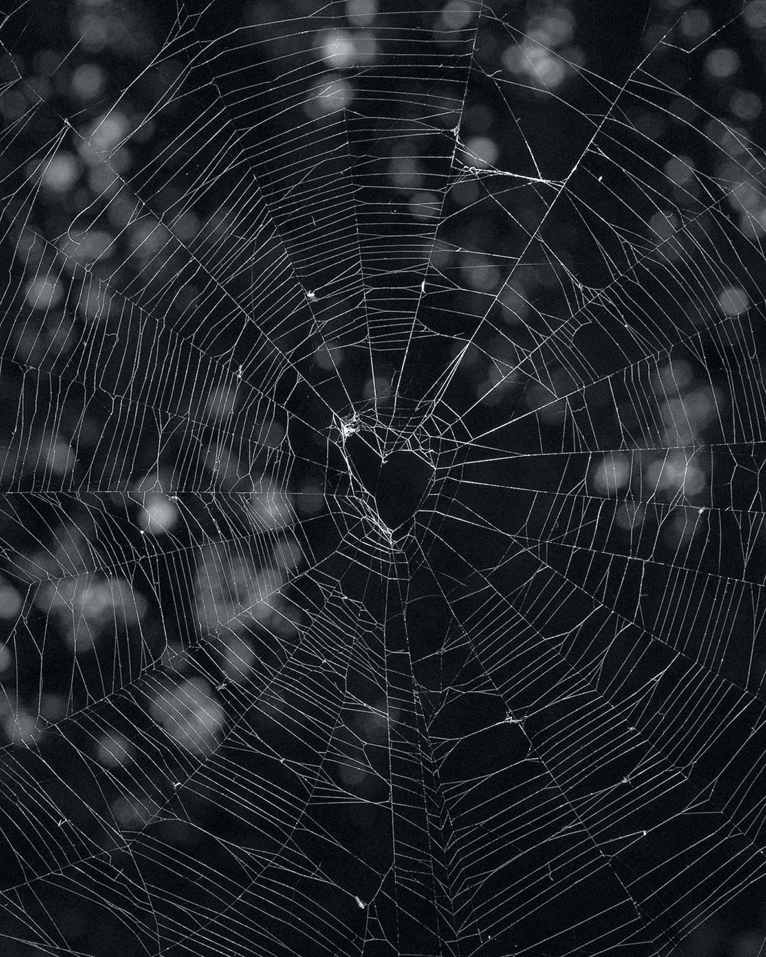 Languor - Photographs by Donavon Smallwood | Essay by Magali Duzant ...