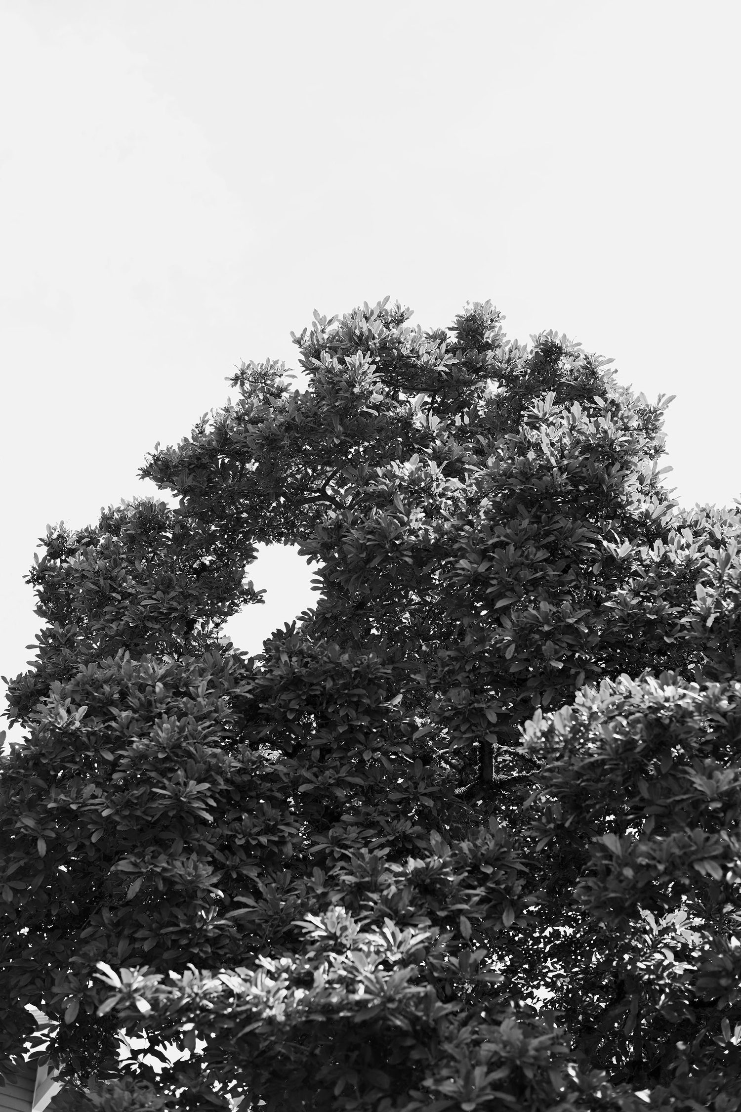 Breathers, After Alzheimers - Photographs by Jon Feinstein | Text by ...