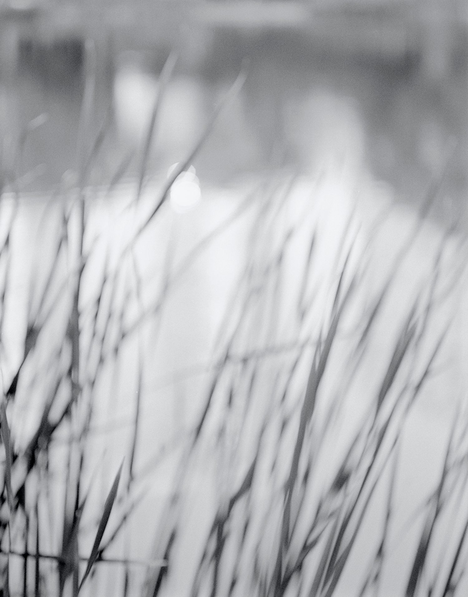 Languor - Photographs by Donavon Smallwood | Essay by Magali Duzant ...