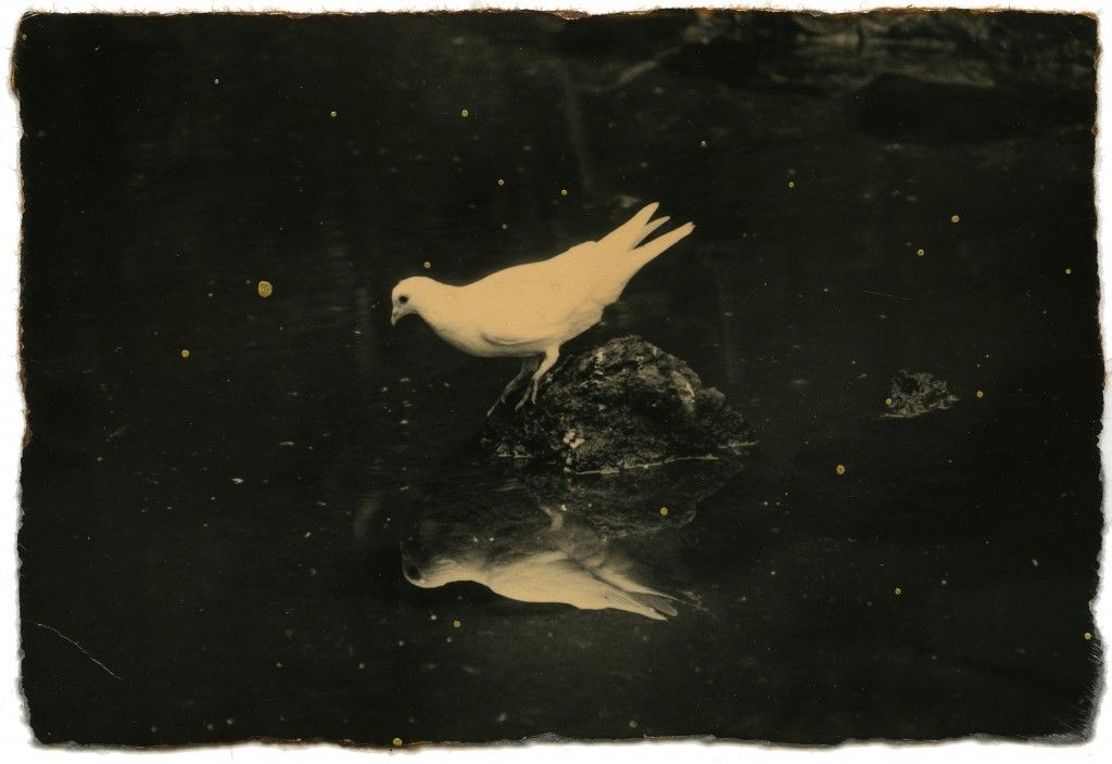 Visual Haiku - Photographs by Masao Yamamoto | LensCulture