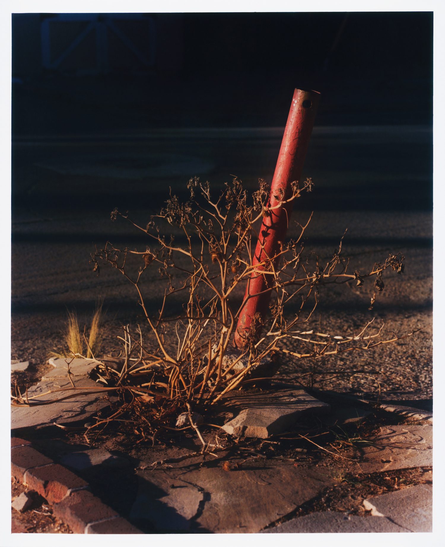 ABQ - Photographs by Lewis Khan | Interview by Wesley Verhoeve ...