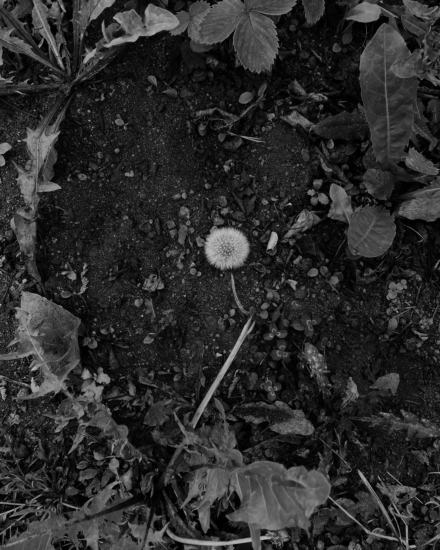 Breathers, After Alzheimers - Photographs by Jon Feinstein | Text by ...