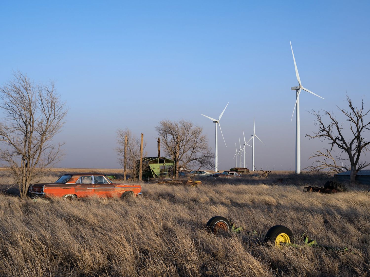 Finding Ways to Live in Peace with Nature - Photographs by Lucas Foglia ...