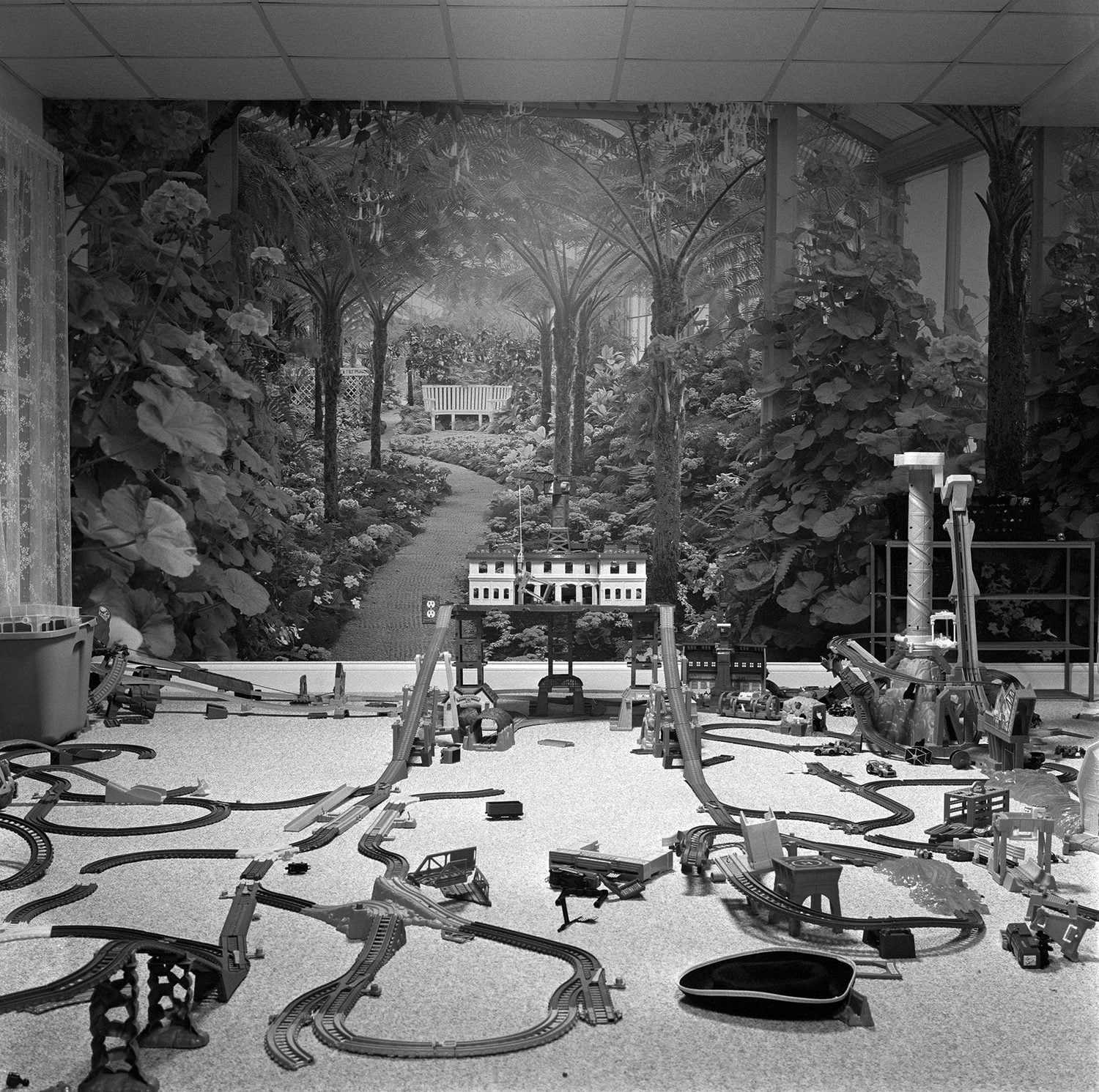 The Locusts - Photographs by Jesse Lenz | Book review by Justin Herfst ...