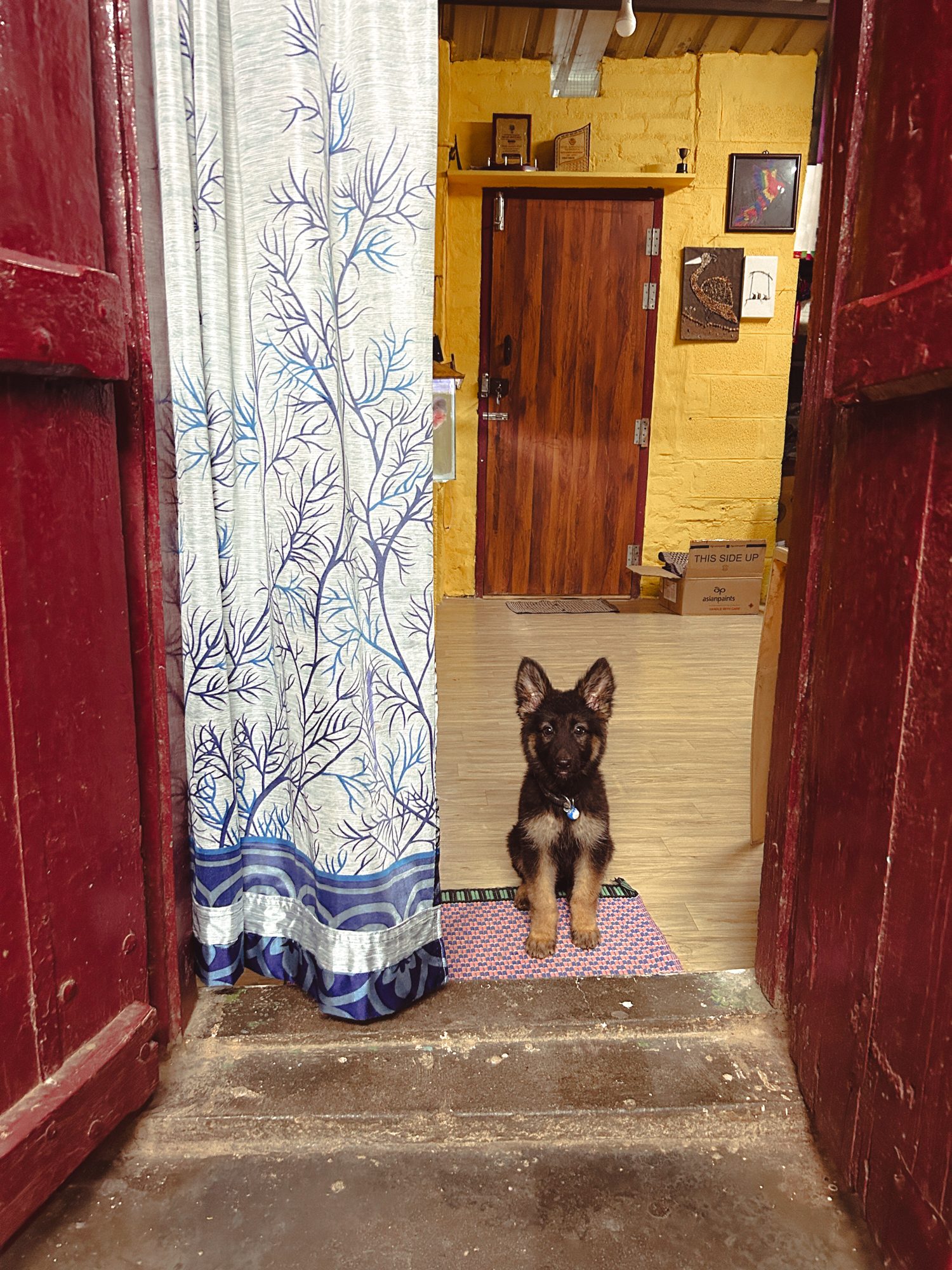 I Feel Like a Fish - Photographs by Jaisingh Nageswaran | Essay by ...