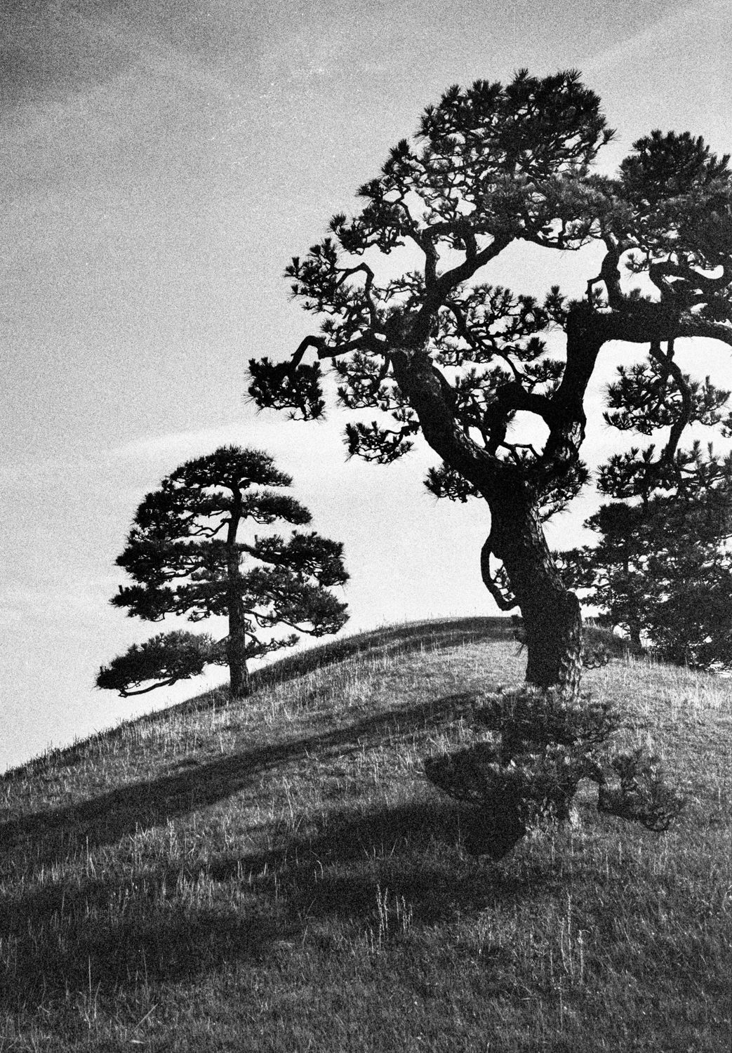 Tokyo Is Yours: Seeking Sense Through Street Photography - Photographs ...