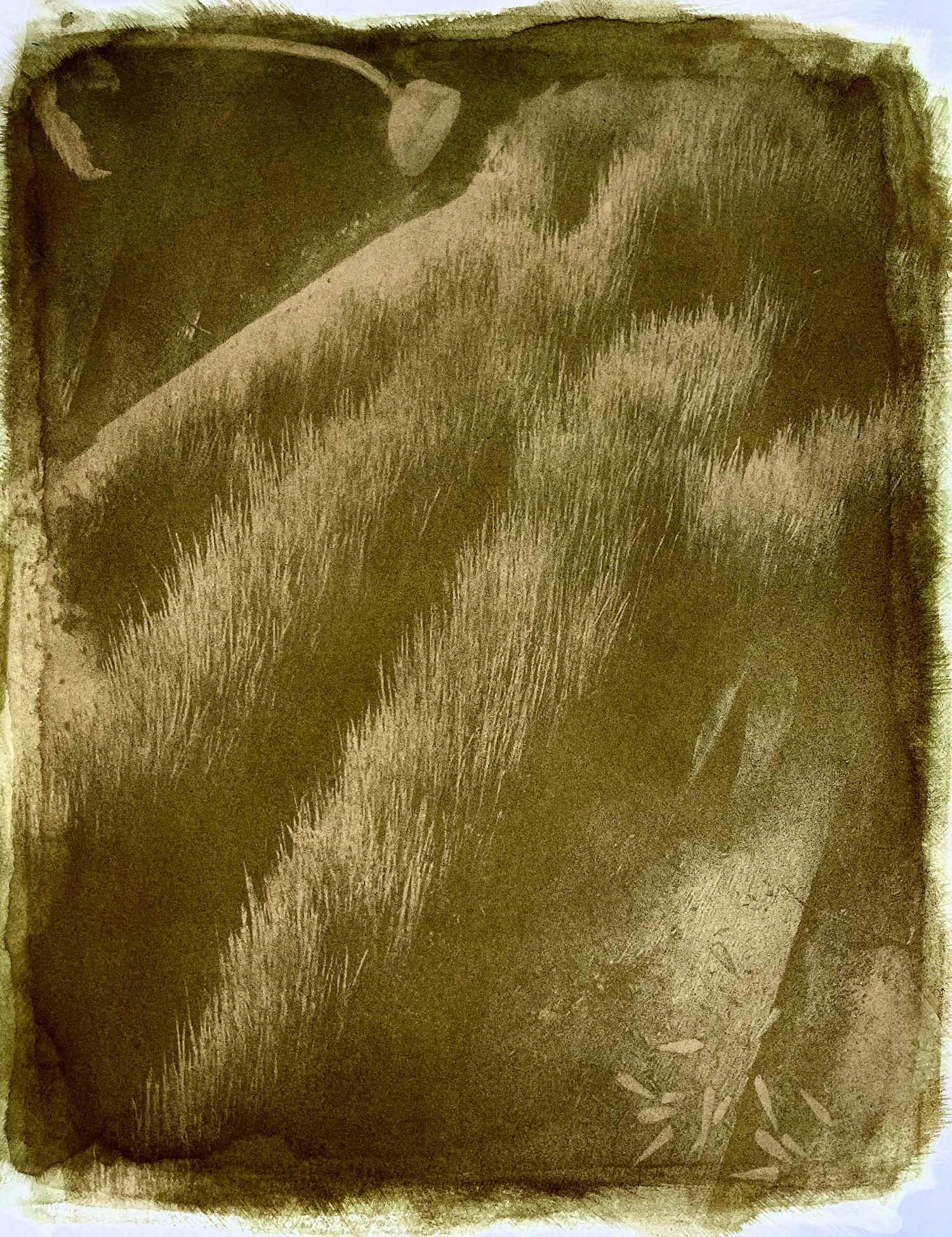 Sanctuary and Abjuration: Sentinels of the Ghostwood - Photographs by ...