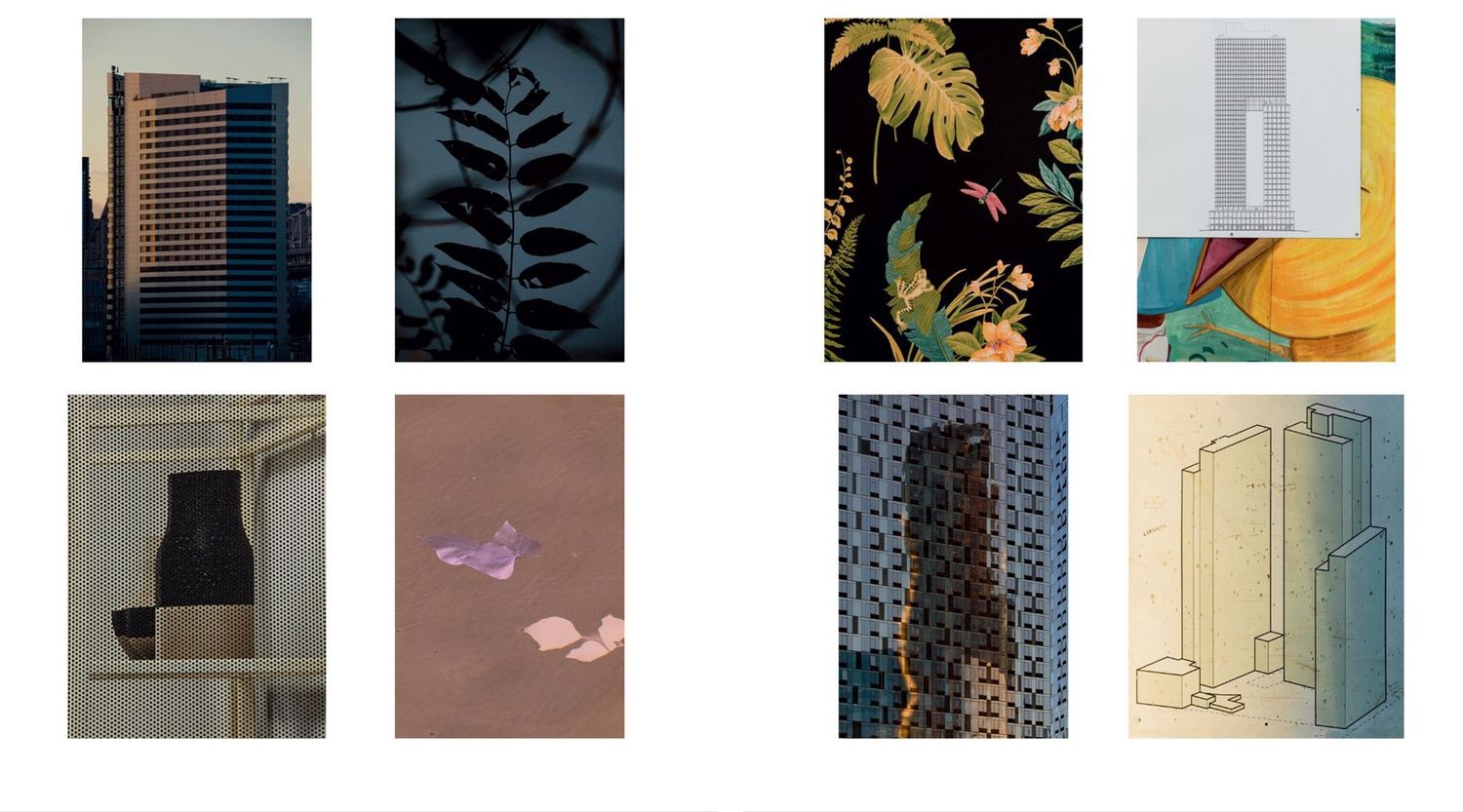 The Critical Role of the Artist in Our Entangled World - Photographs by ...