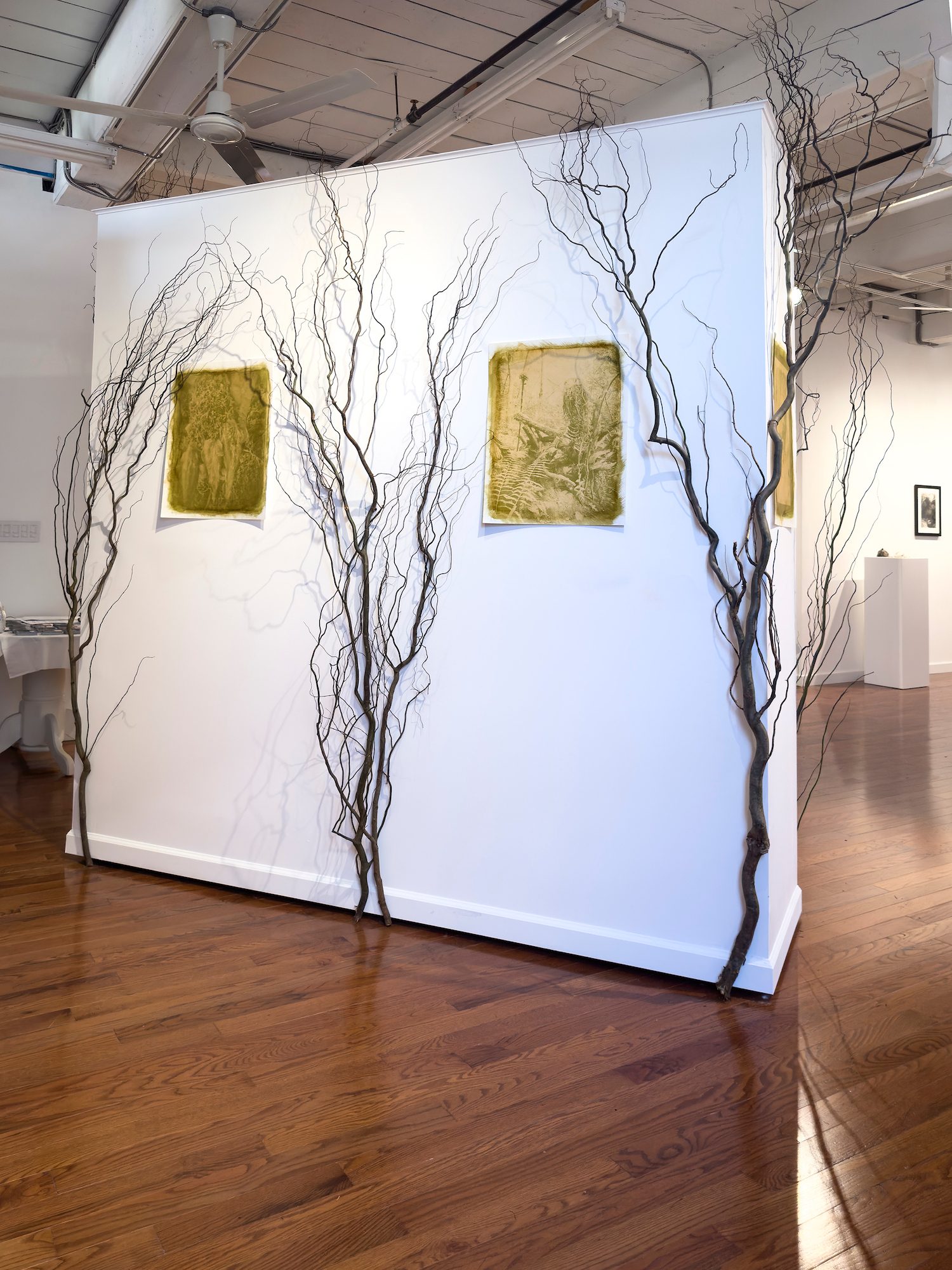 Sanctuary and Abjuration: Sentinels of the Ghostwood - Photographs by ...