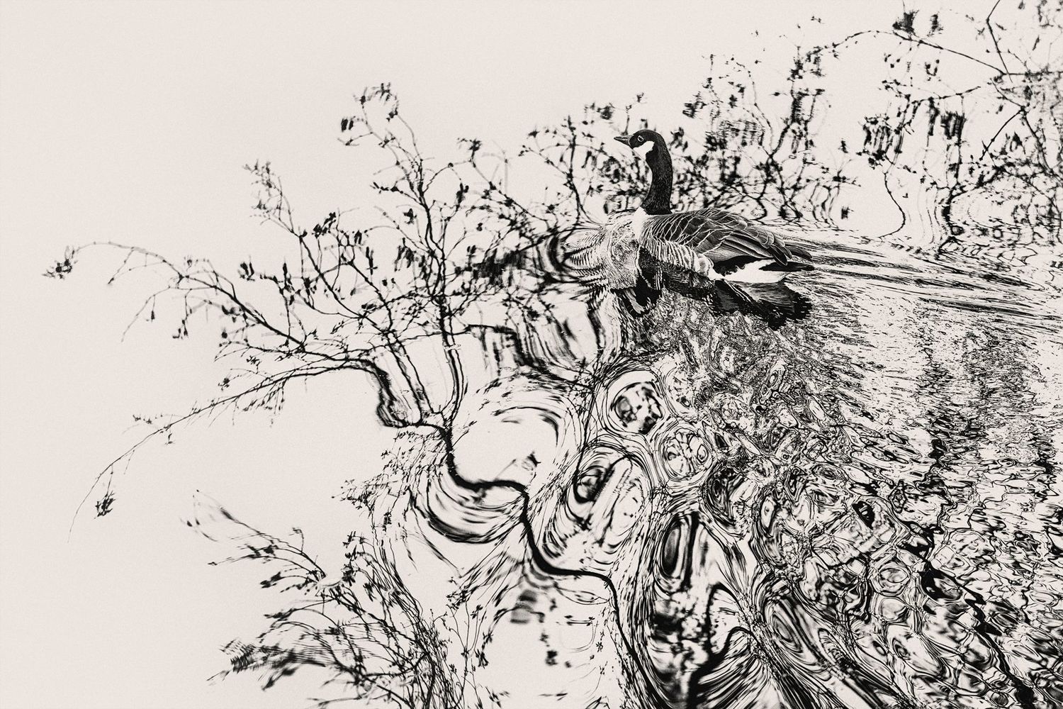 Revelatio: The Unveiling of Fundamental Forms - Photographs and text by ...