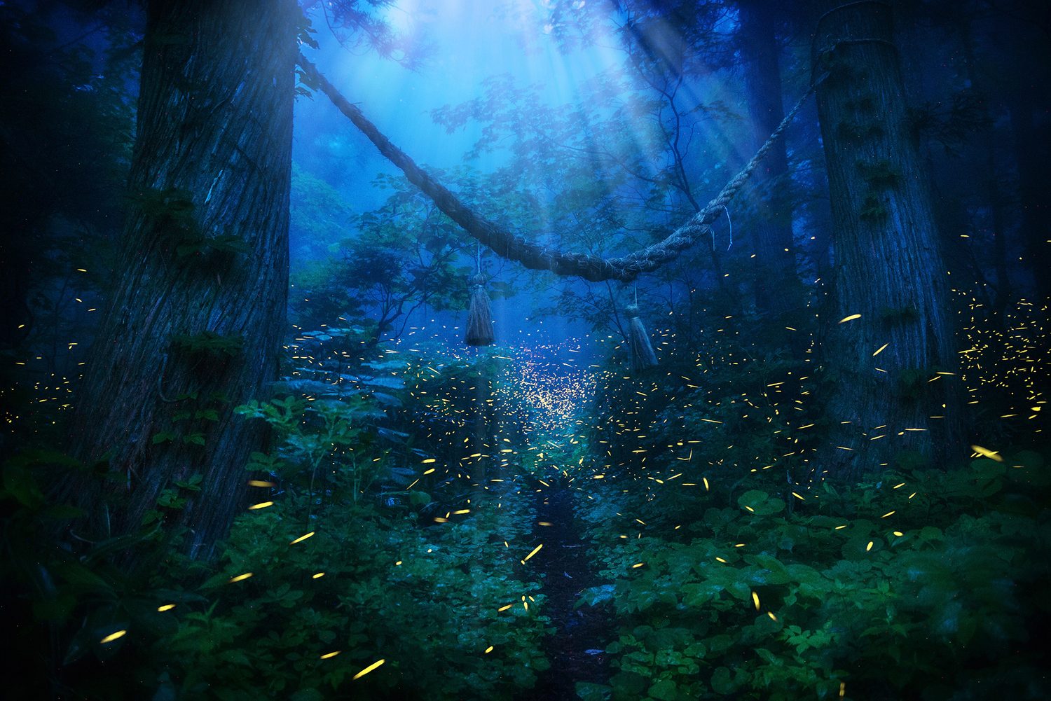 Summer Fairies — Luminous Fireflies & the Climate Crisis - Photographs ...