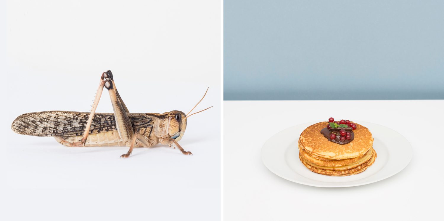 Beatle in the Box - Photographs by Michela Benaglia & Emanuela Colombo ...